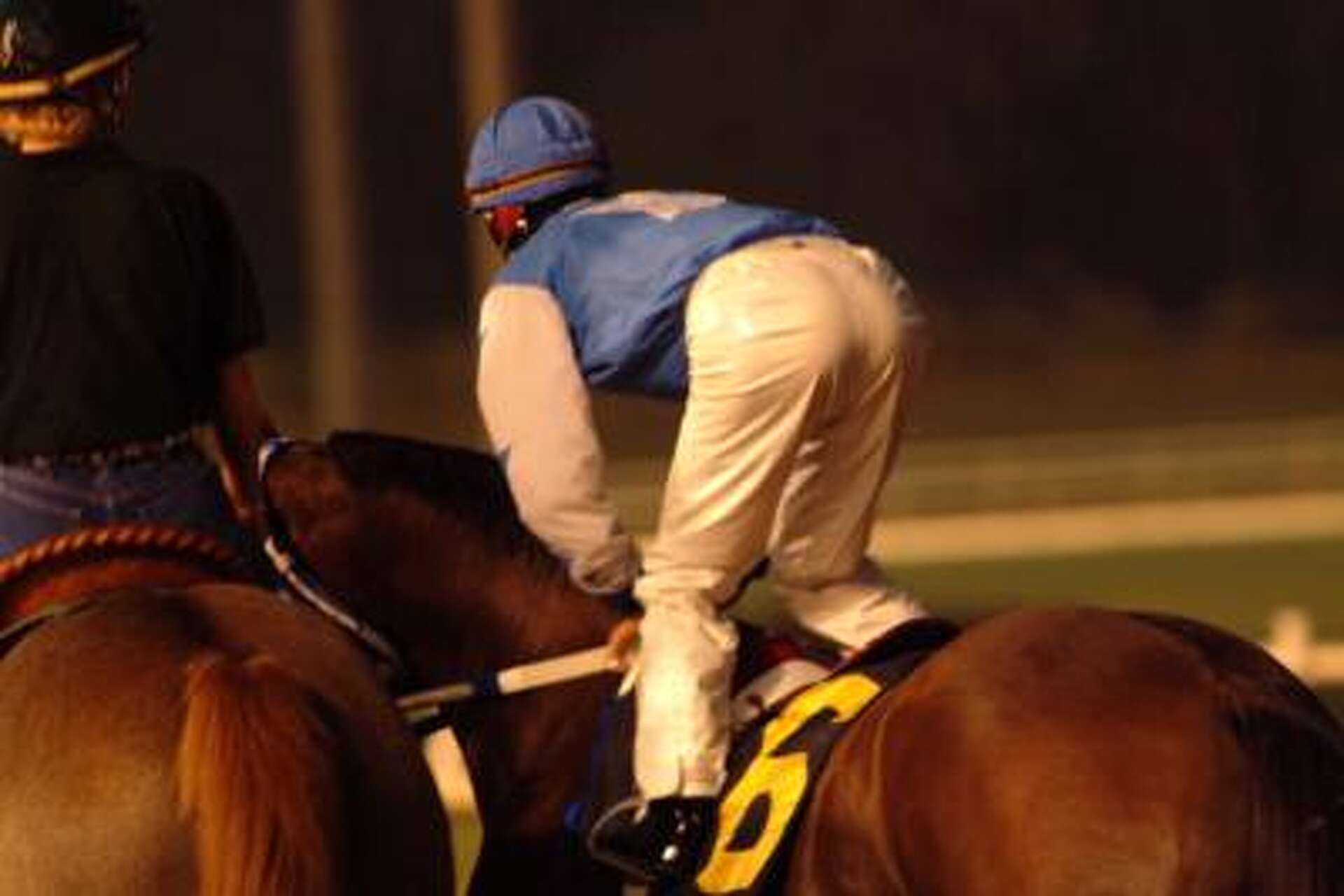 How to Start a Horse Racing Business