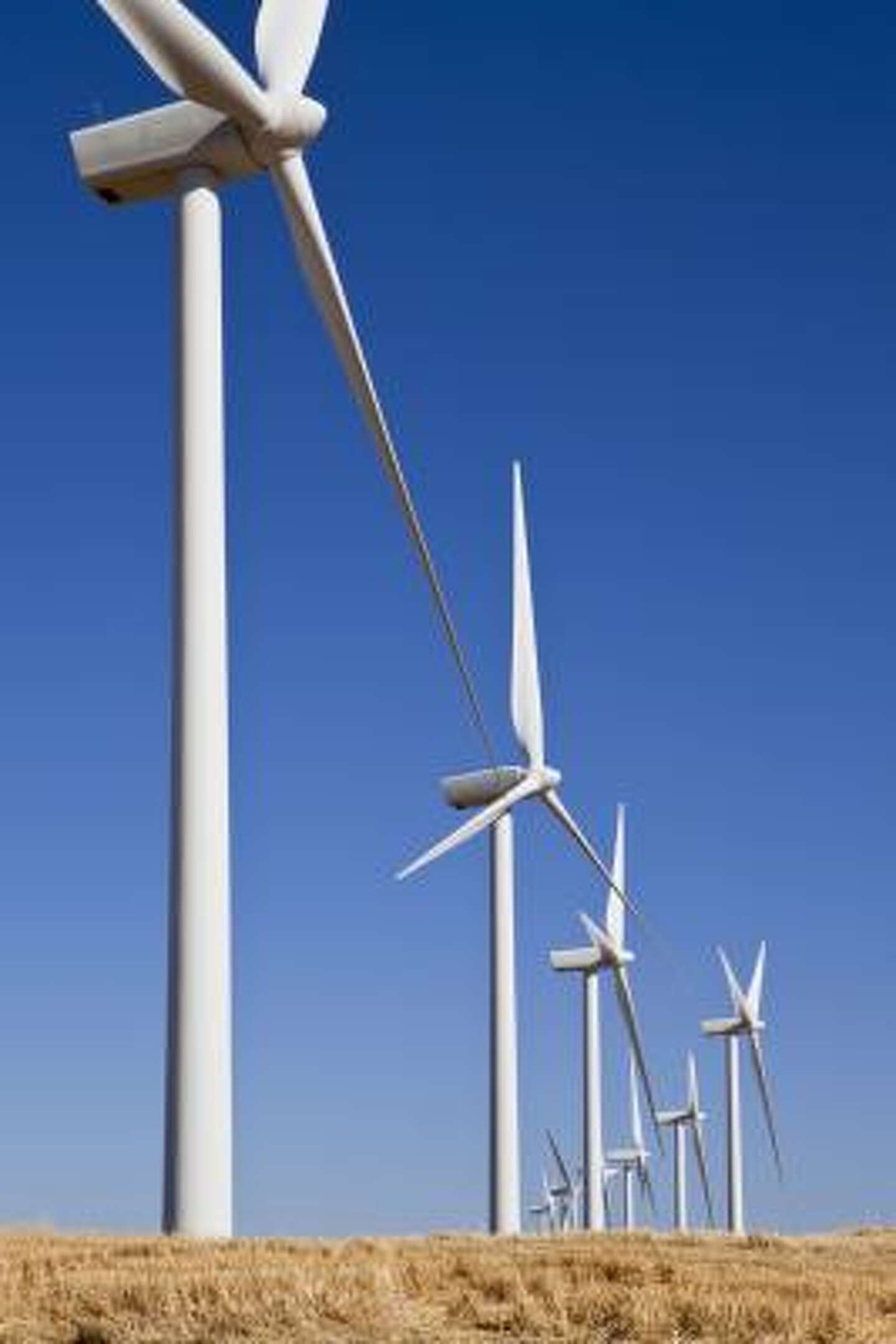 How to Start a Local Wind Farm Company