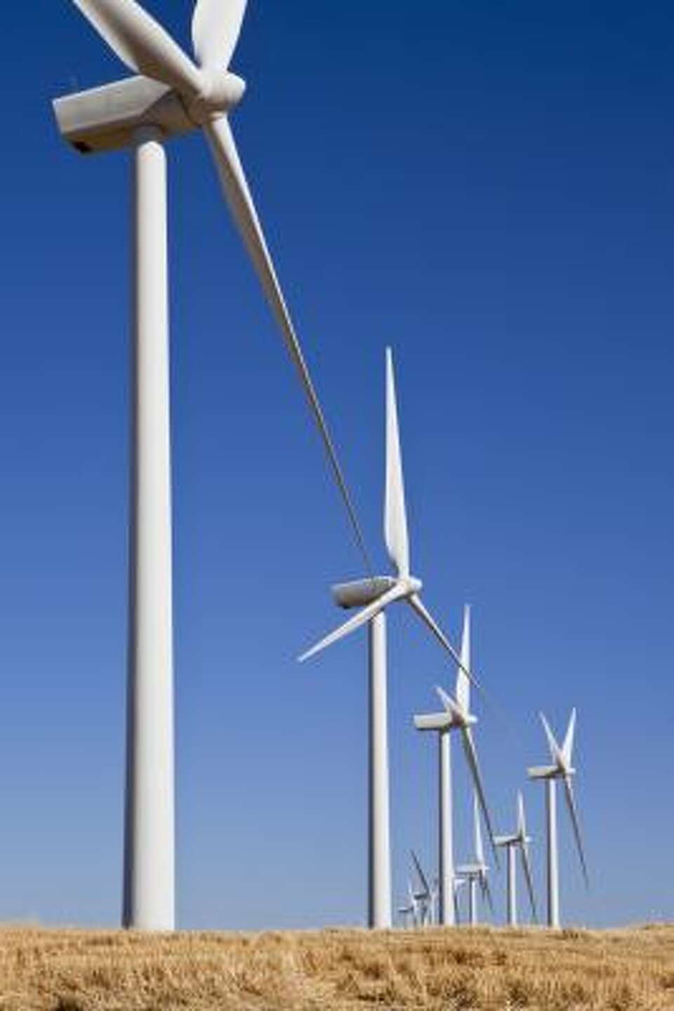 How to Start a Local Wind Farm Company