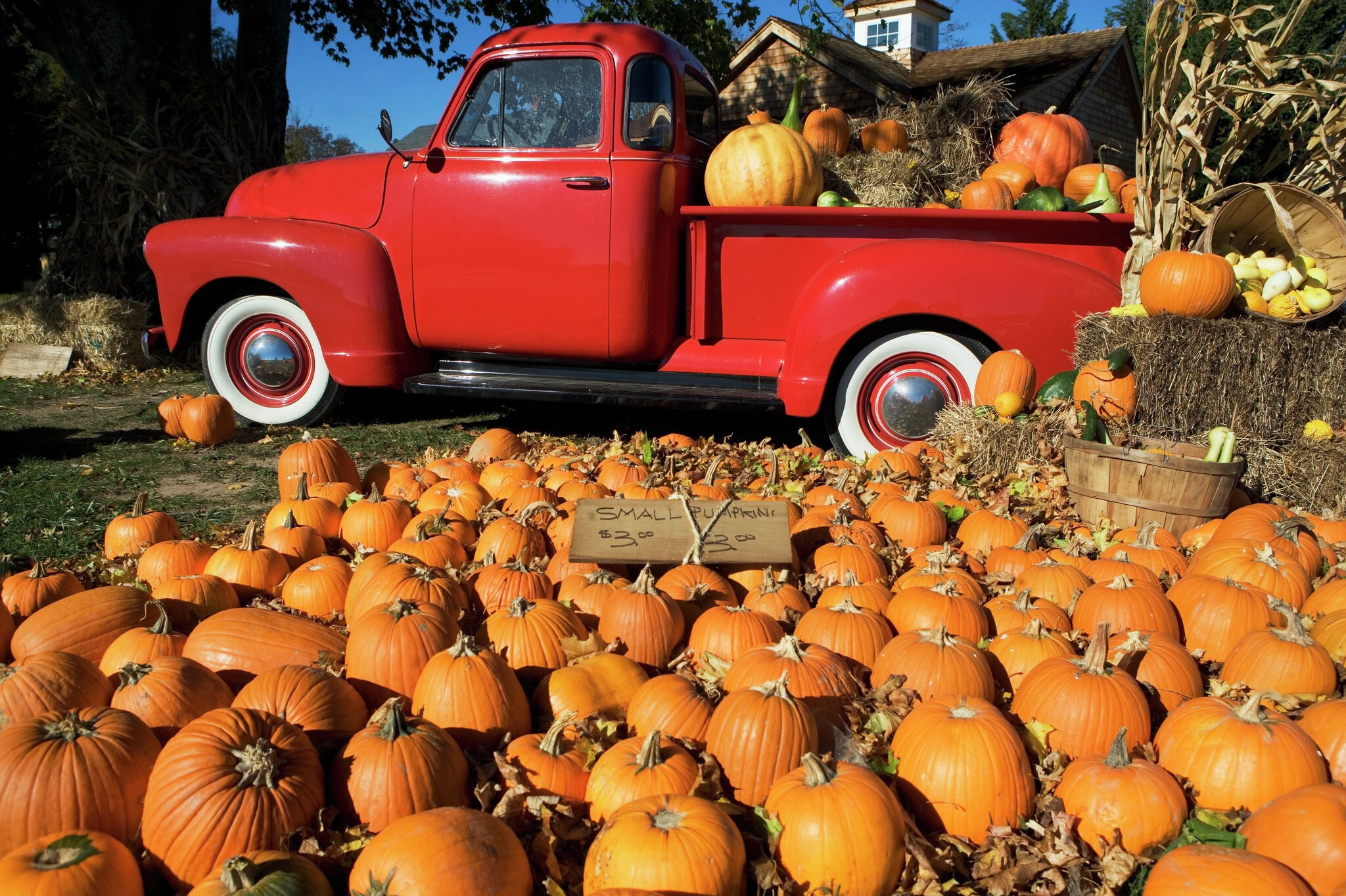 Where to pick pumpkins, celebrate fall in Houston area