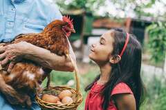 How to Use a Small Farm for Tax Write Offs