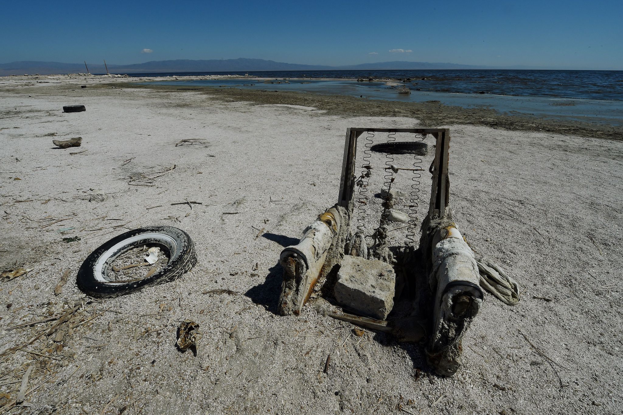 New findings on what's causing poor health at Calif.'s largest lake
