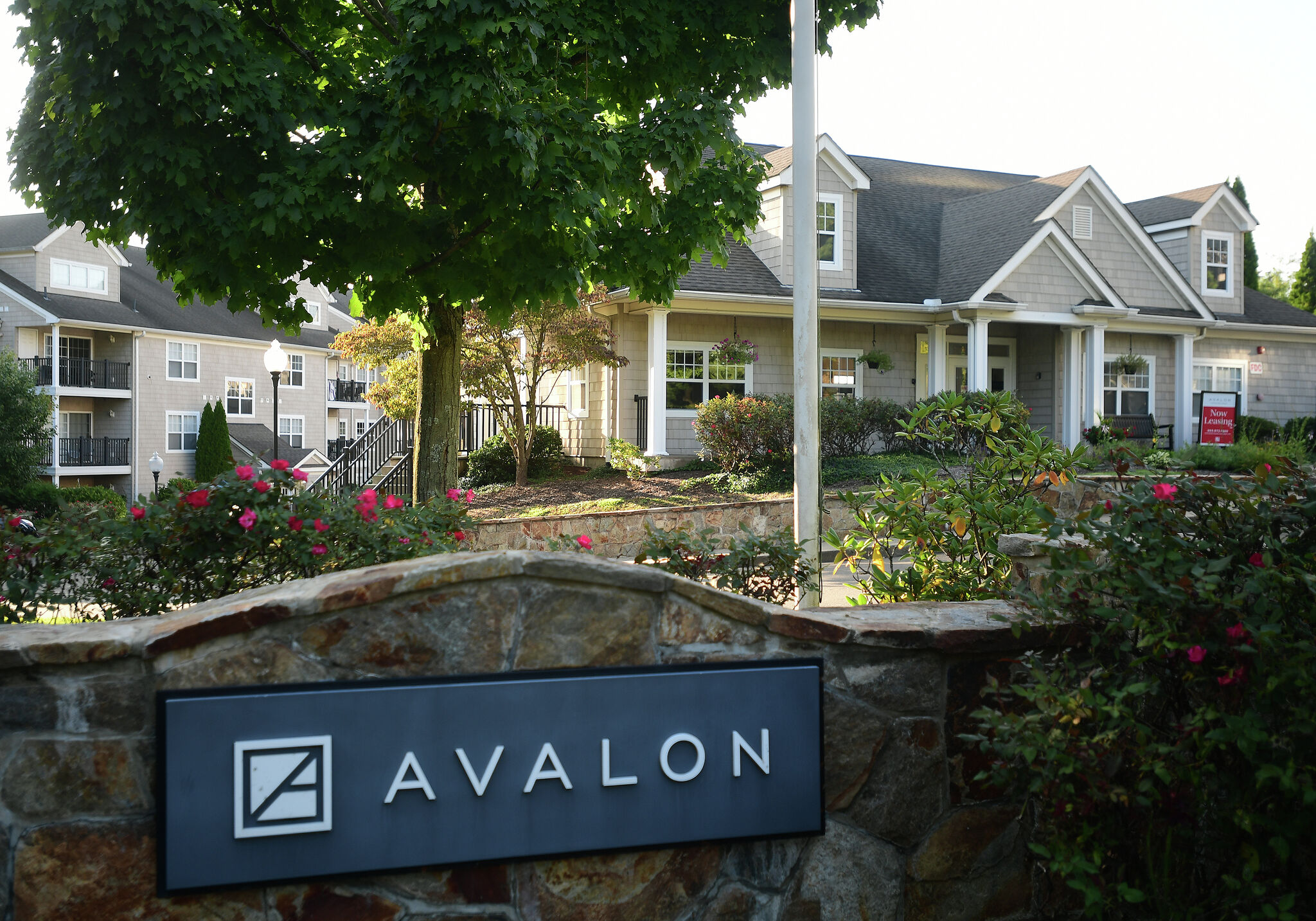 New Canaan Housing Authority moves toward purchase of Avalon