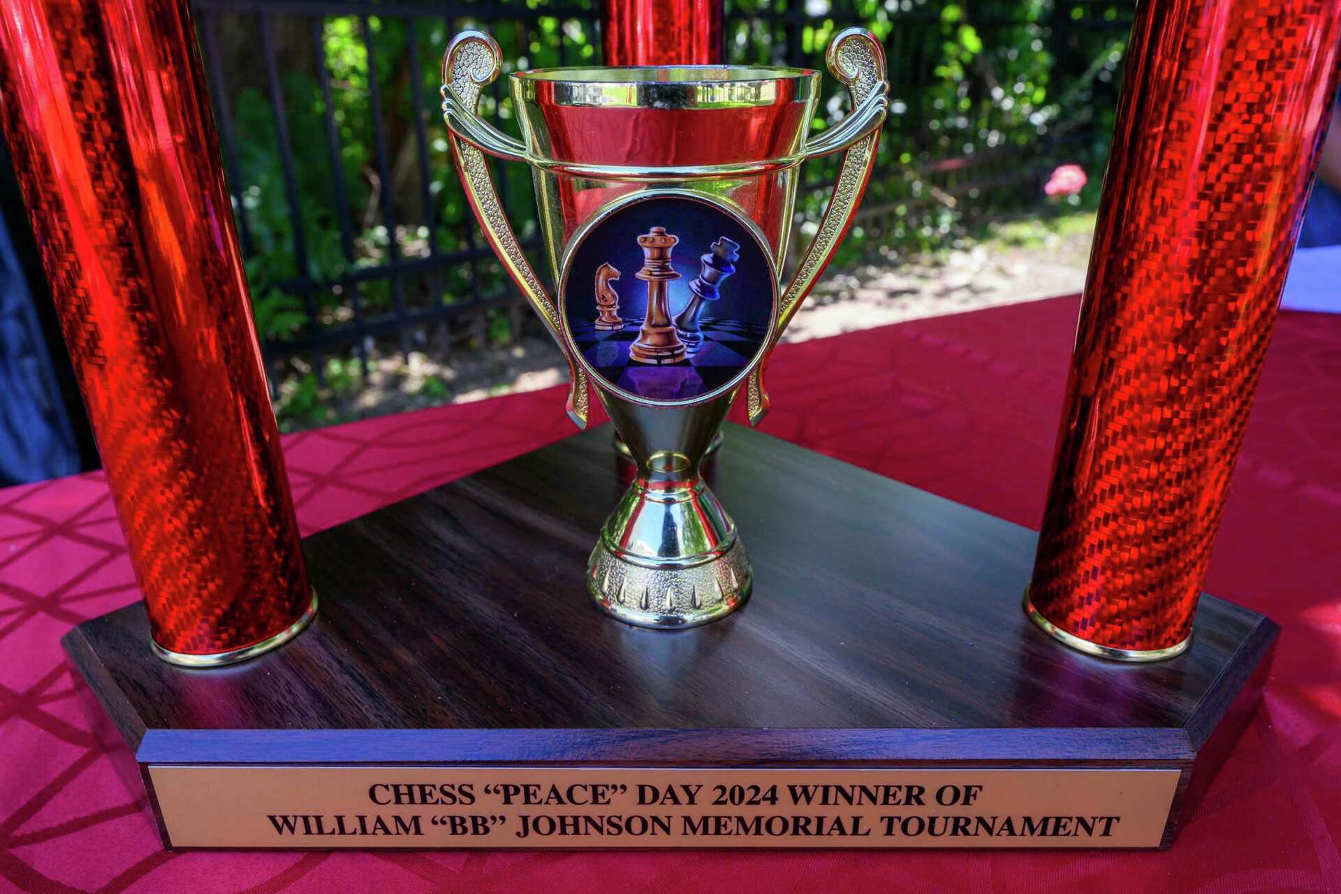 Albany chess group hosts Chess 'Peace' Day to curb violence