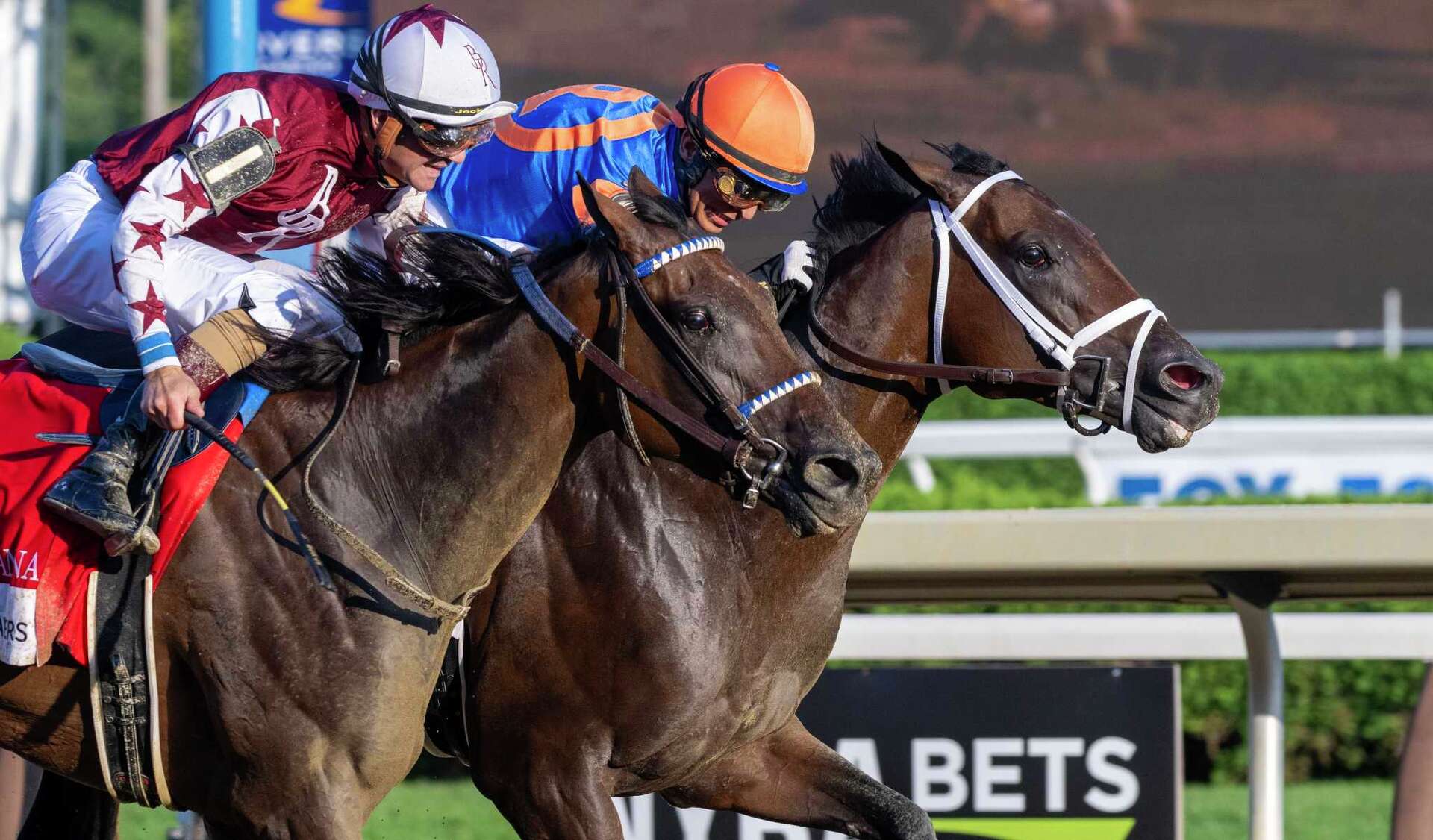 Fierceness holds off filly Thorpedo Anna to capture Travers Stakes