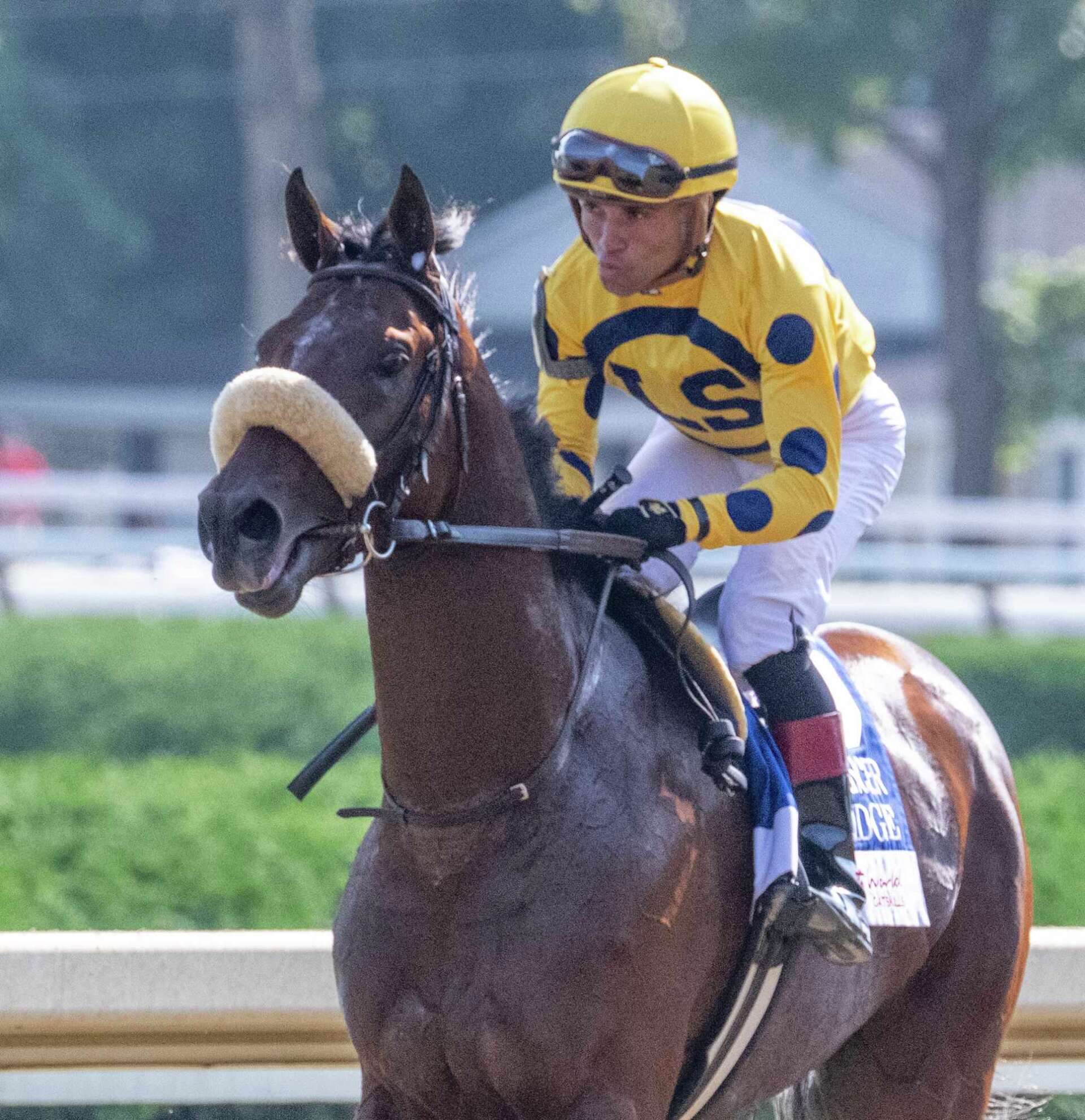 Far Bridge turns back challengers to take Sword Dancer at Saratoga