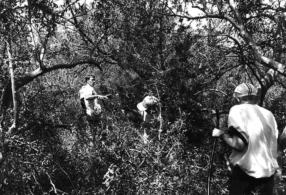 Two San Antonio girls were abducted and killed 30 years ago. Their ...