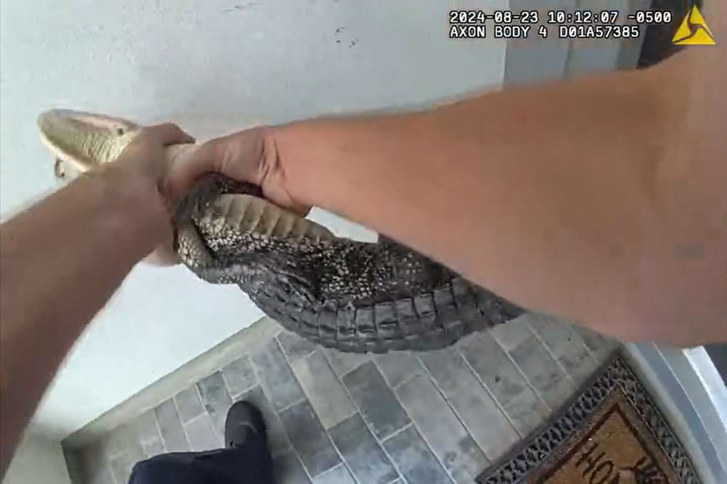 Daring Texas cop wrangles alligator with his bare hands