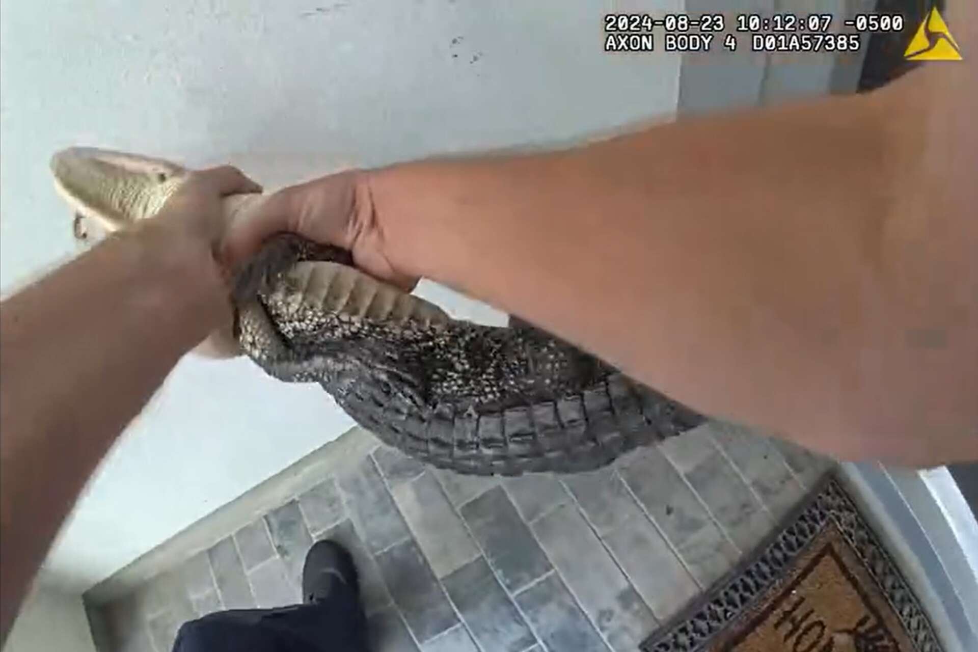 Daring Texas cop wrangles alligator with his bare hands