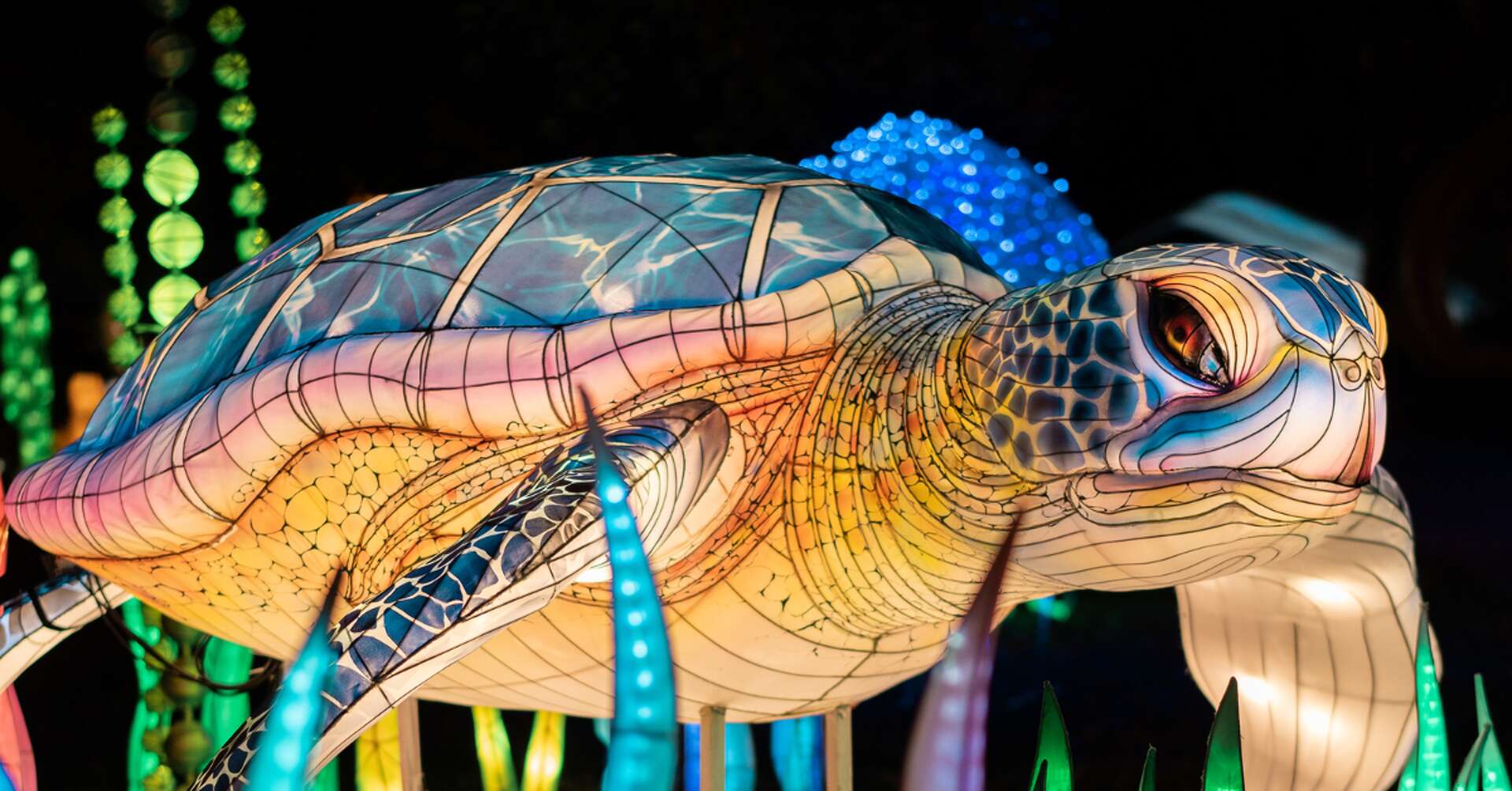 Chinese lantern festival celebrates fall at Mabee Farm