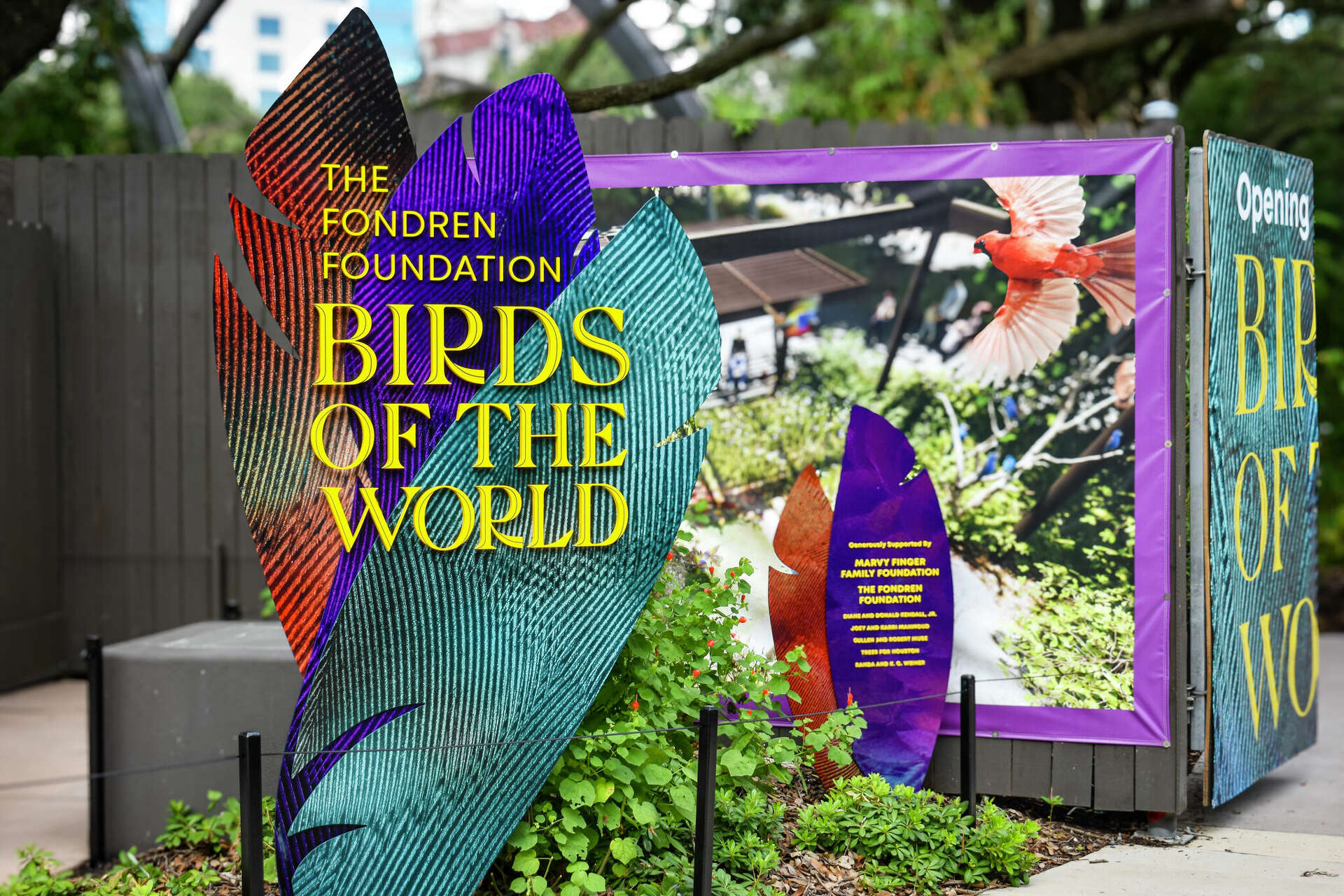 Texas zoo's new exhibit is all about birds