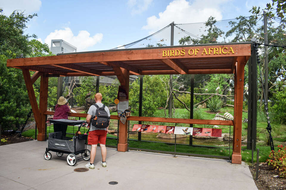 Texas zoo's new exhibit is all about birds