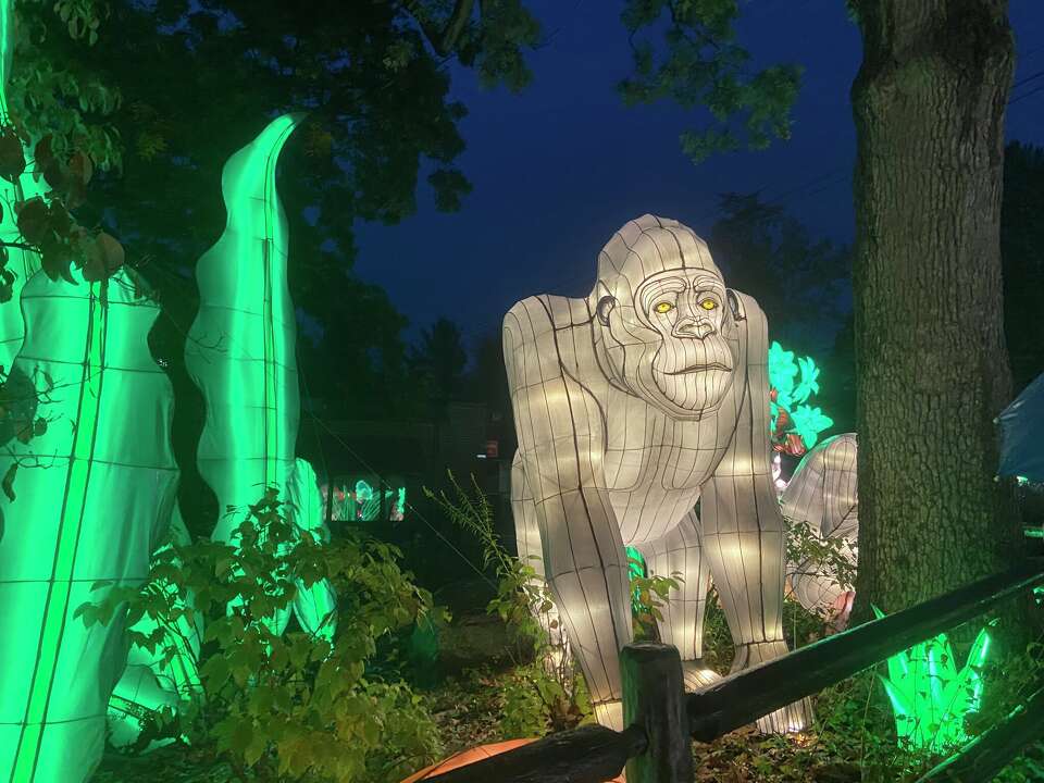 'Glow Wild' lantern festival is coming back to CT's Beardsley Zoo