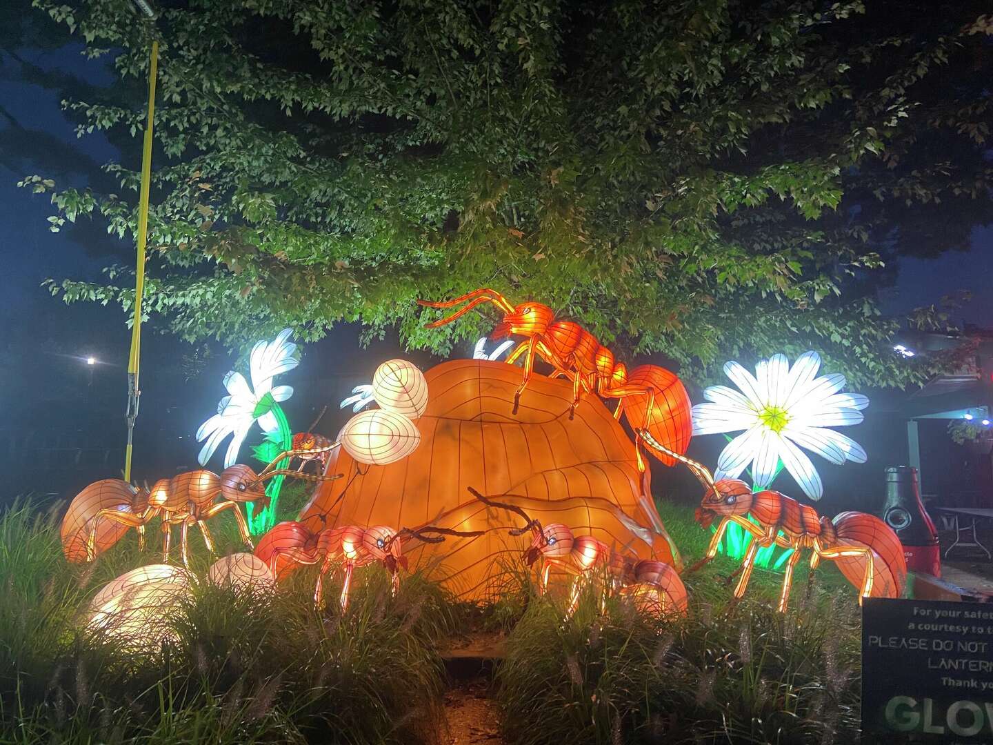 'Glow Wild' lantern festival is coming back to CT's Beardsley Zoo