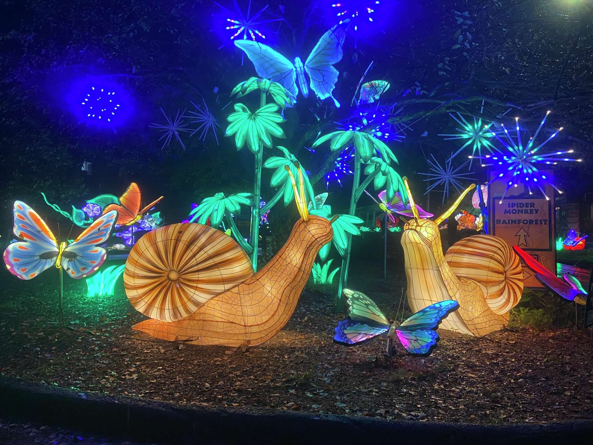 'Glow Wild' lantern festival is coming back to CT's Beardsley Zoo