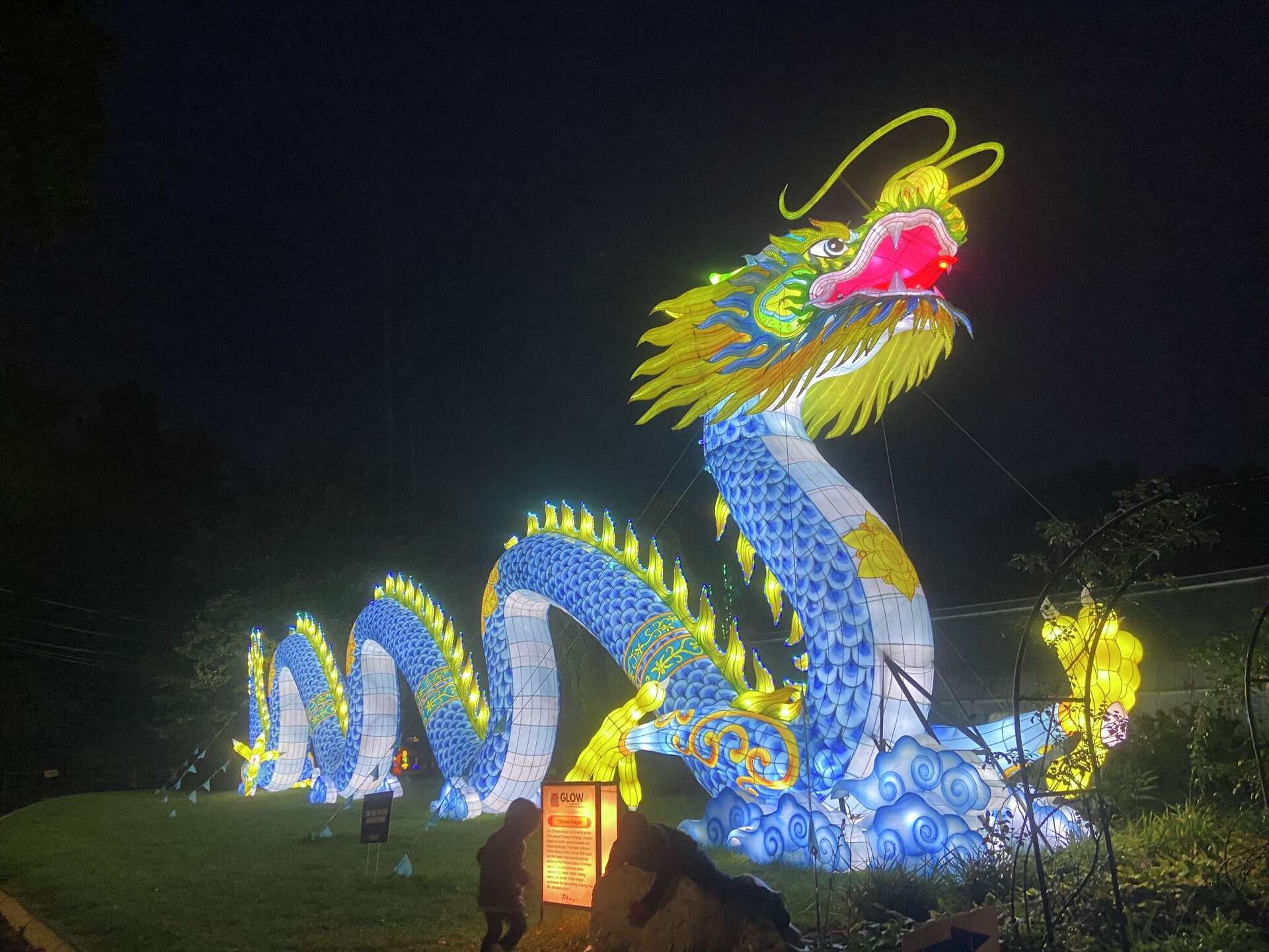 Glow Wild to return to CT zoo with dinosaur lanterns, private 'igloos'