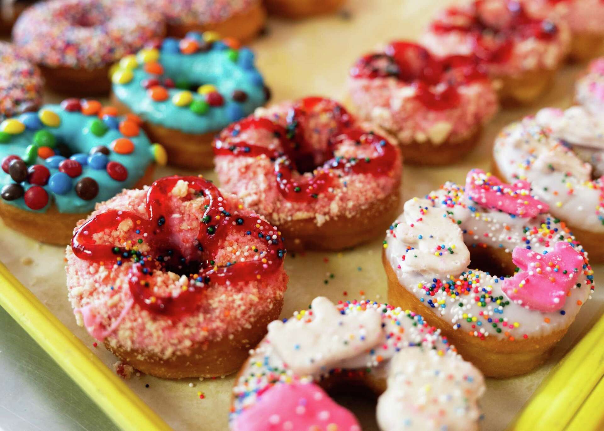 Robin's Snowflake Donuts: From struggling business to viral sensation