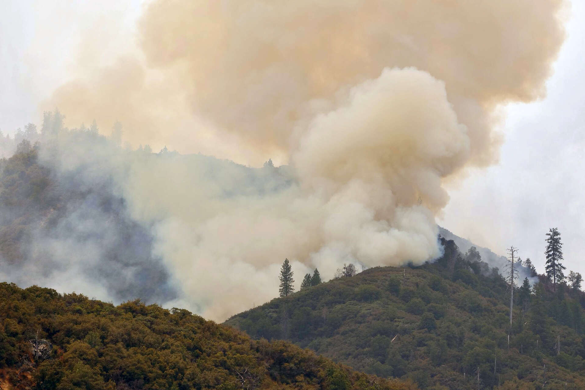 Wildfire in Calif. national park grows nearly 30%, triggers evacuation