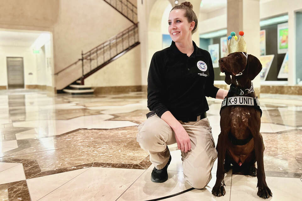 SFO animal named top dog in TSA's cutest canine competition