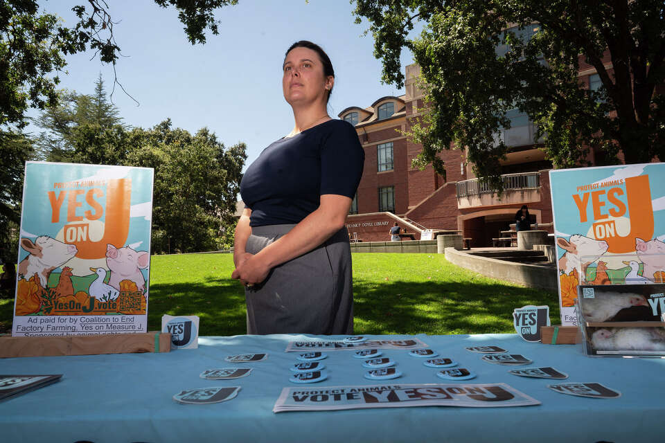 Could the Measure J ballot measure upend Sonoma County farms?