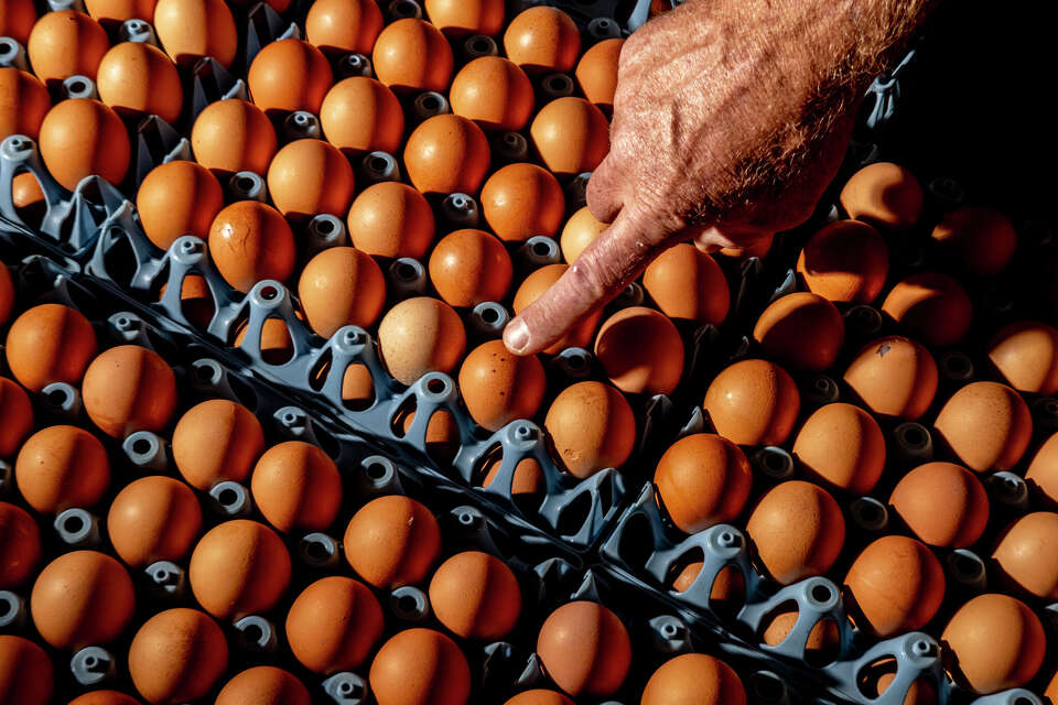 Could the Measure J ballot measure upend Sonoma County farms?