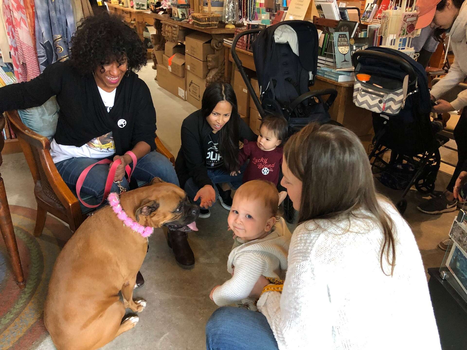 One last kiss for Ava, a superstar dog both in my book and in my life