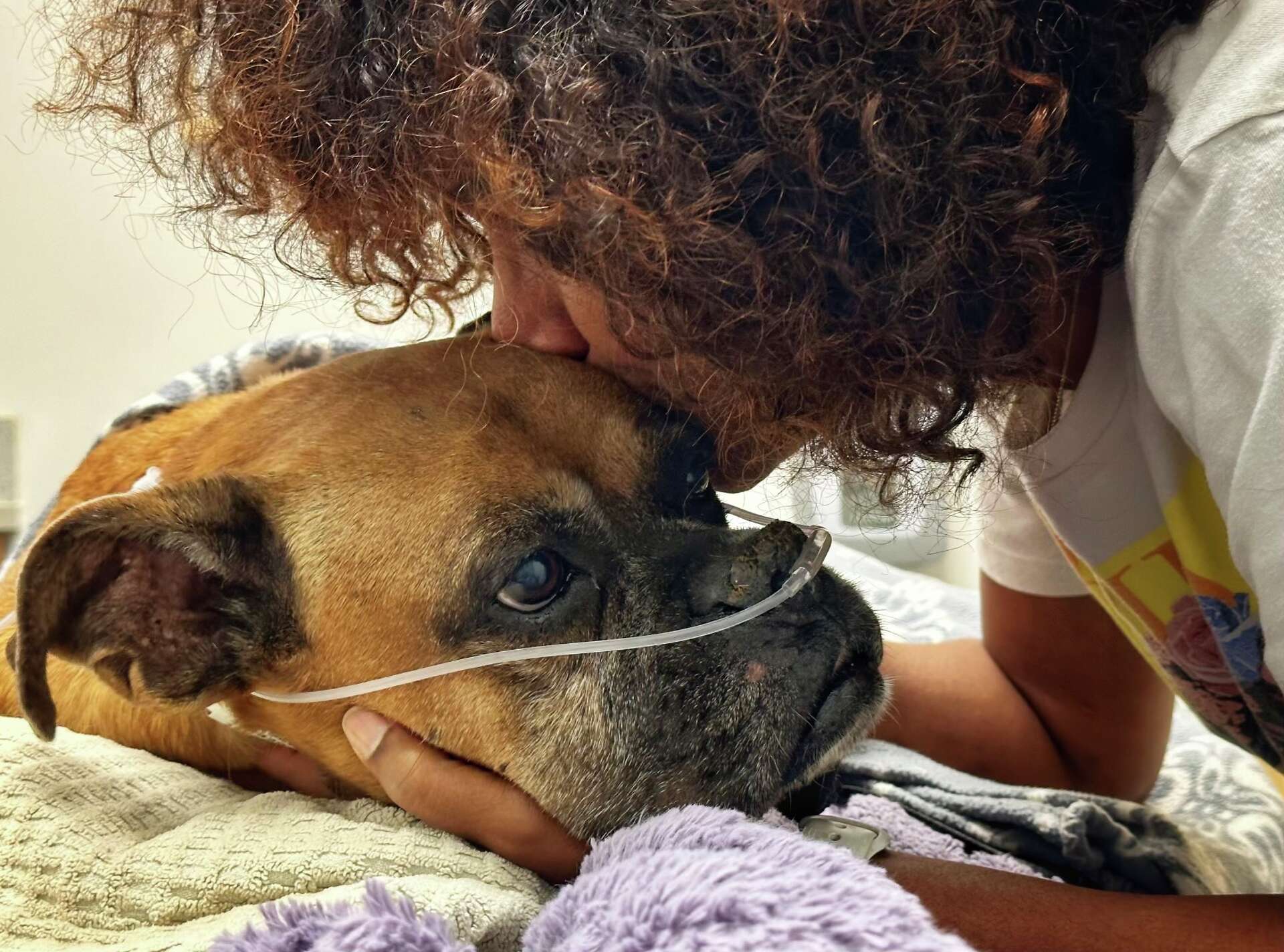 One last kiss for Ava, a superstar dog both in my book and in my life