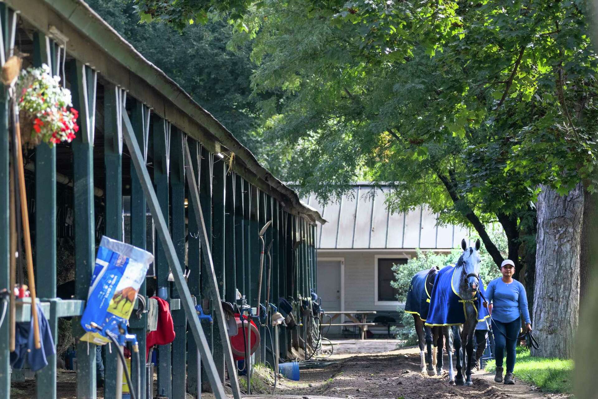 Saratoga Race Course barn under quarantine due to case of strangles