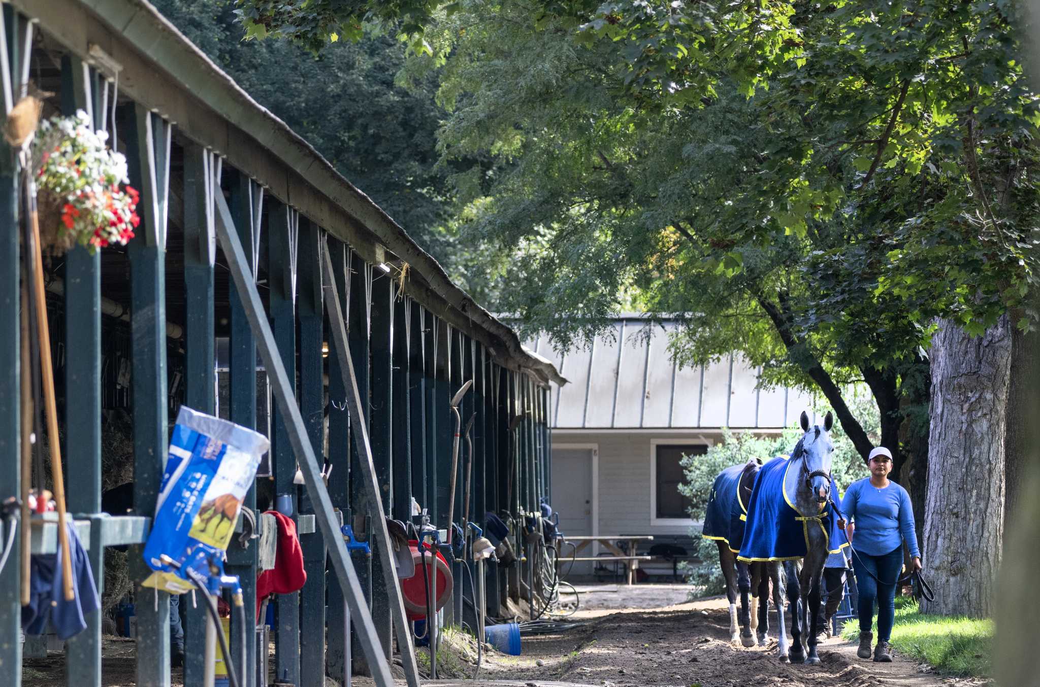 Saratoga Race Course barn under quarantine due to case of strangles
