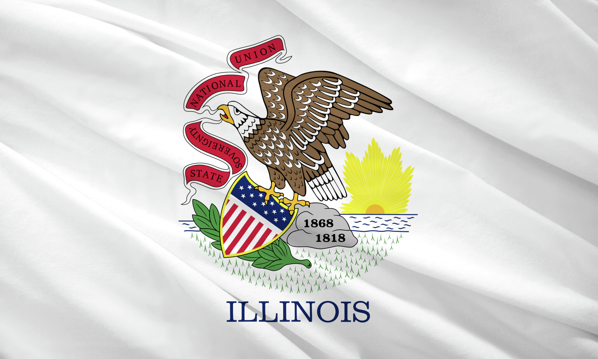 Illinois State Symbols