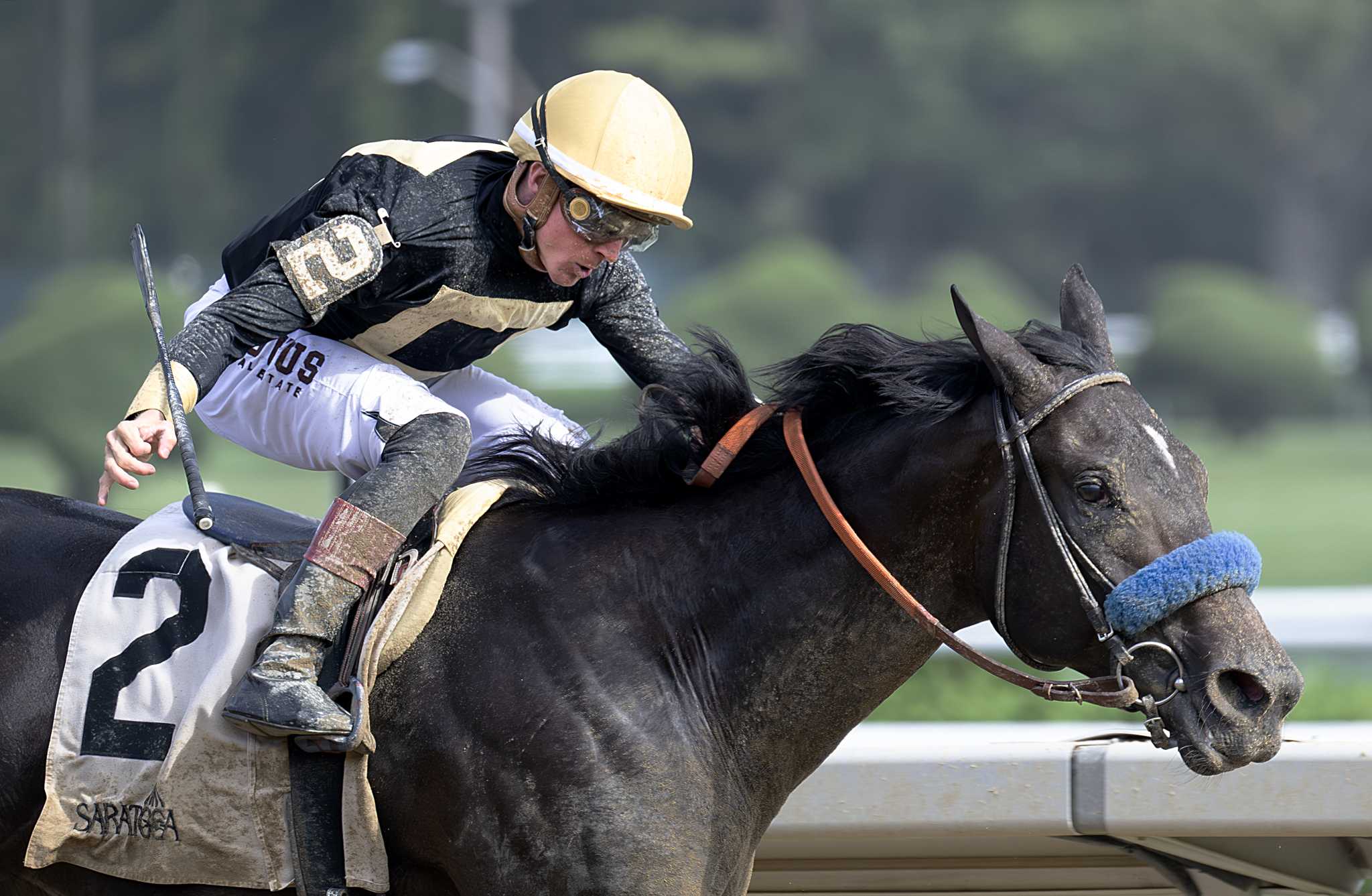 Dylan Davis, Chad Brown lead NYRA’s 2024 rider, trainer standings