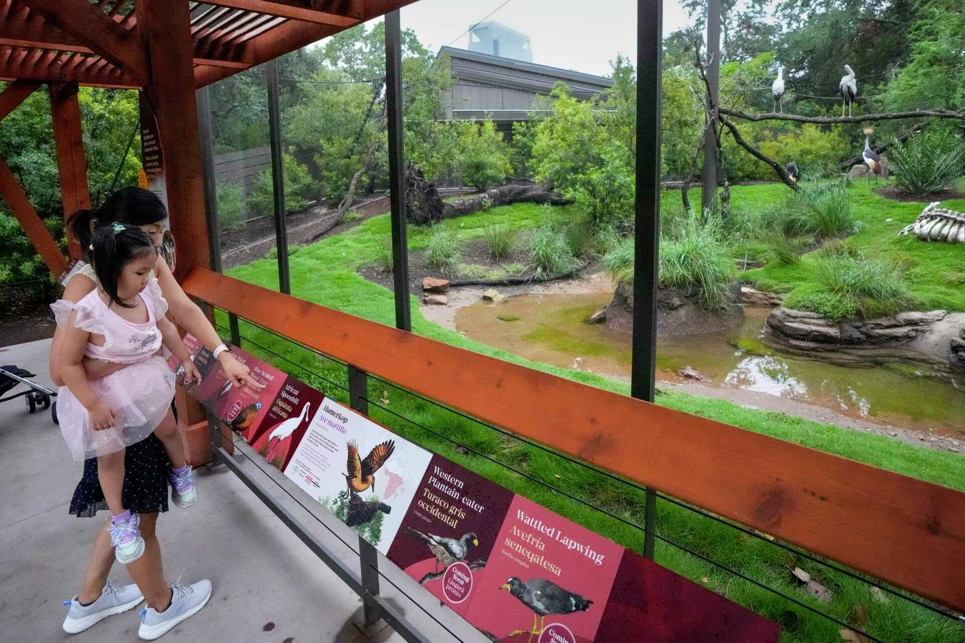 Houston Zoo debuts Birds of the World exhibit with 3 new aviaries