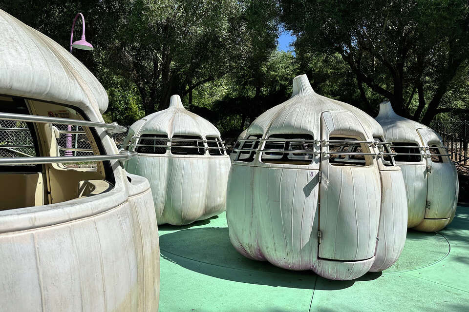 The family behind Nob Hill Foods made this quirky Bay Area theme park