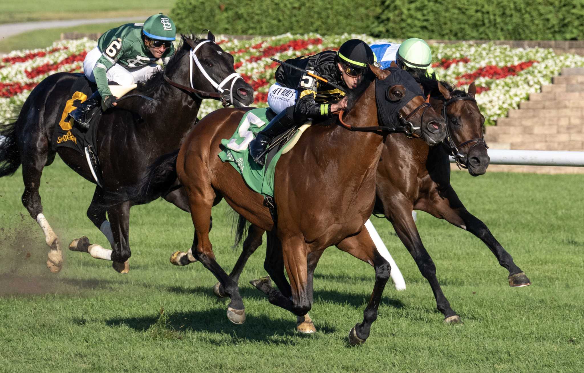 Running Bee buzzes past the field in Bernard Baruch at Saratoga