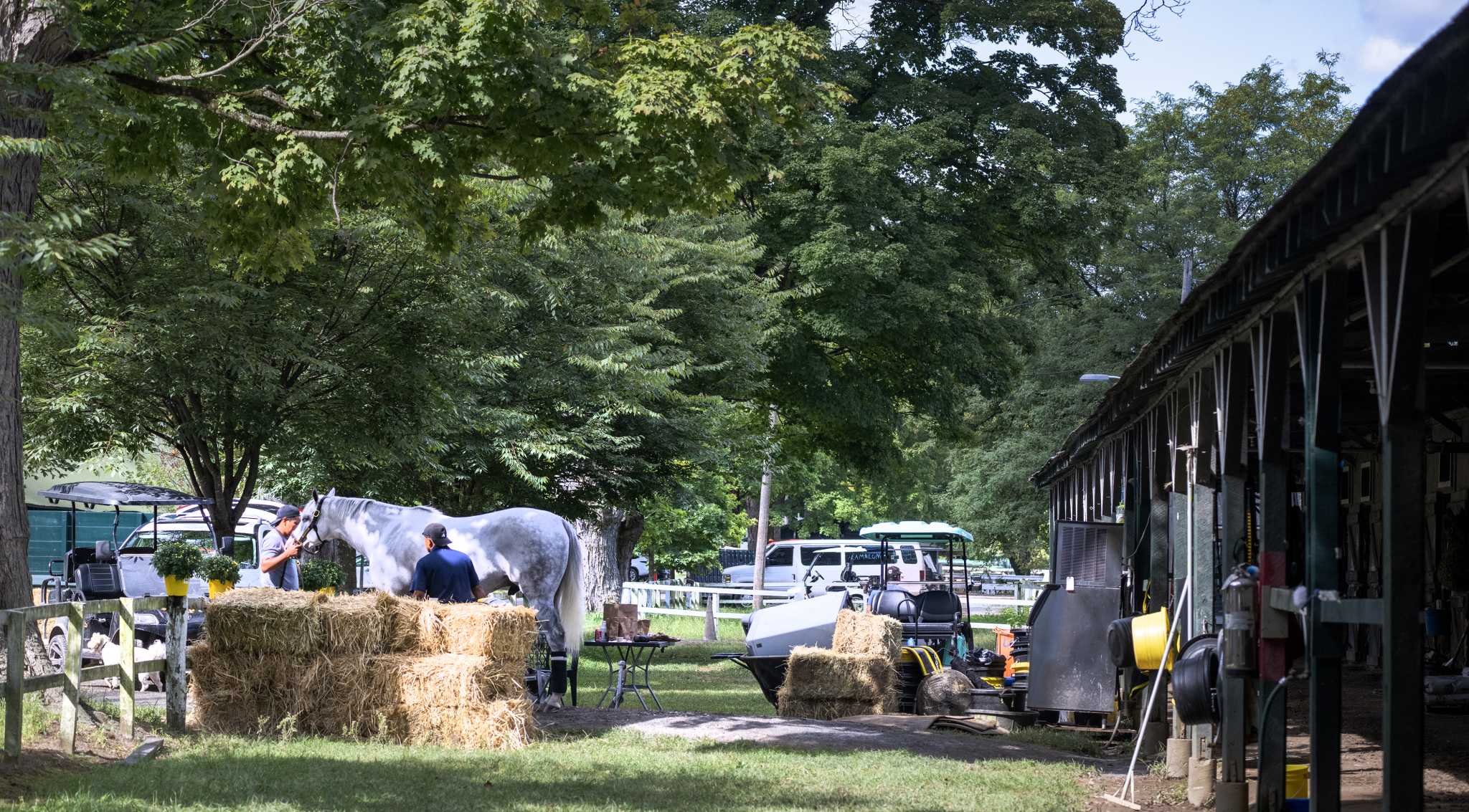 Barn 66 horses at Saratoga placed under quarantine due to strangles