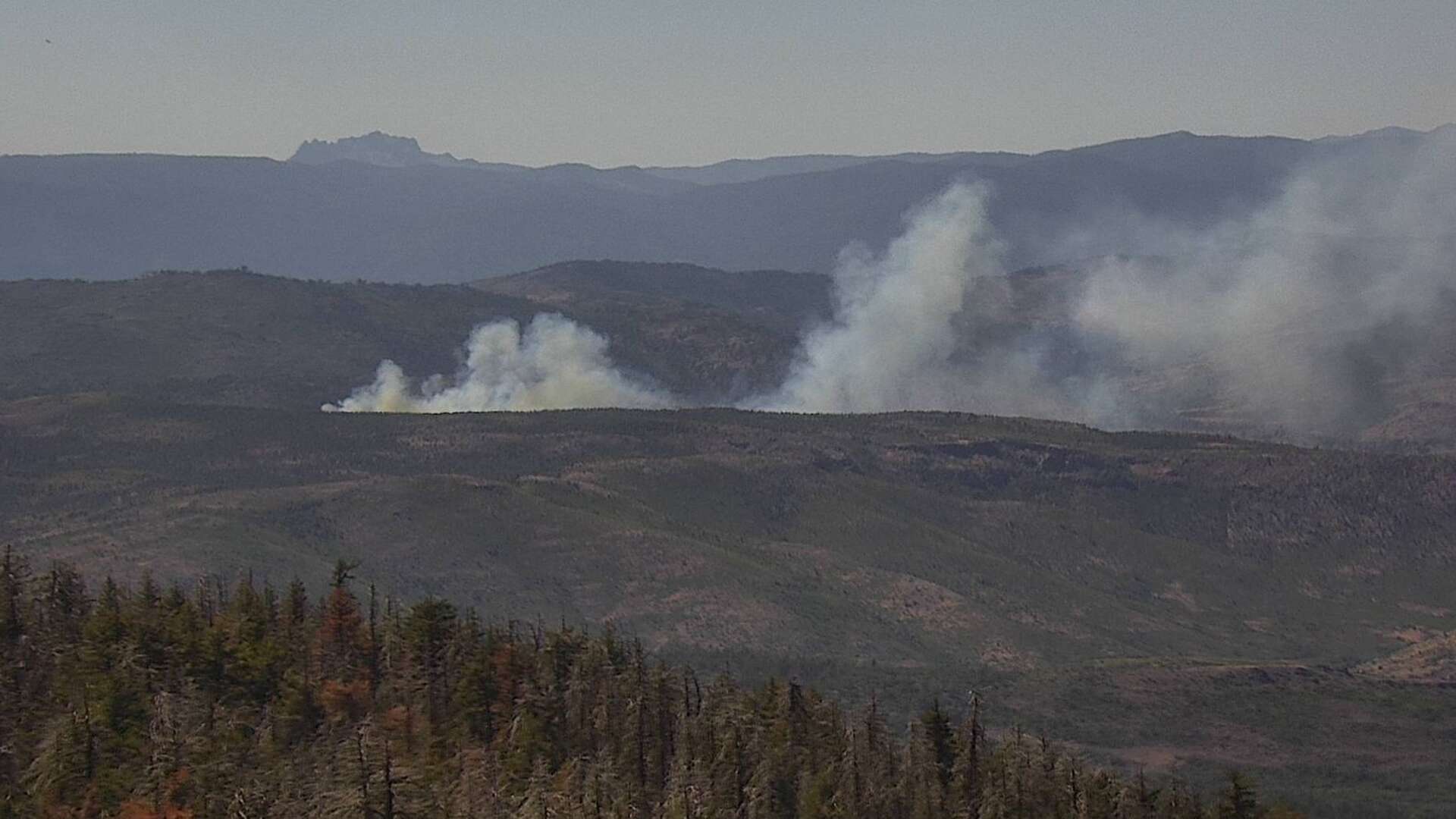 Wildfire near Tahoe National Forest prompts evacuations