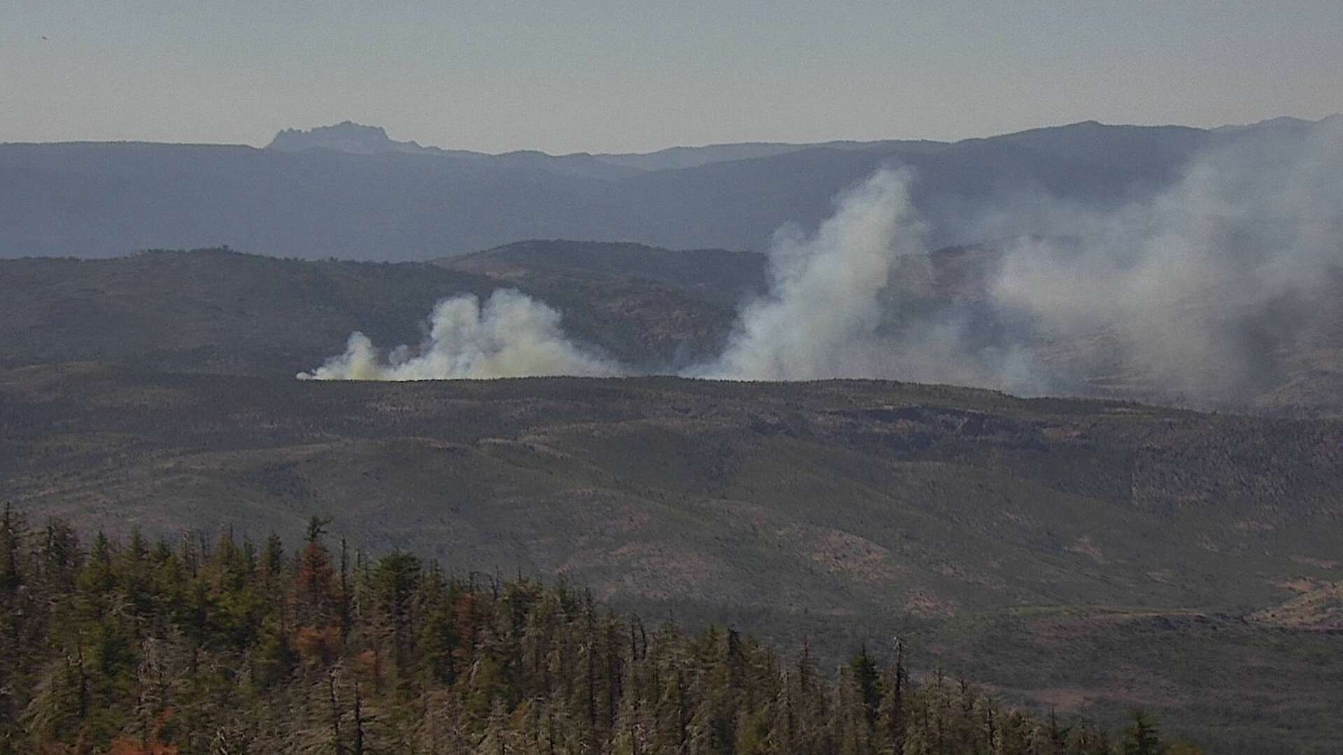 Bear Fire near Tahoe burns over 1,300 acres, evacuations ordered