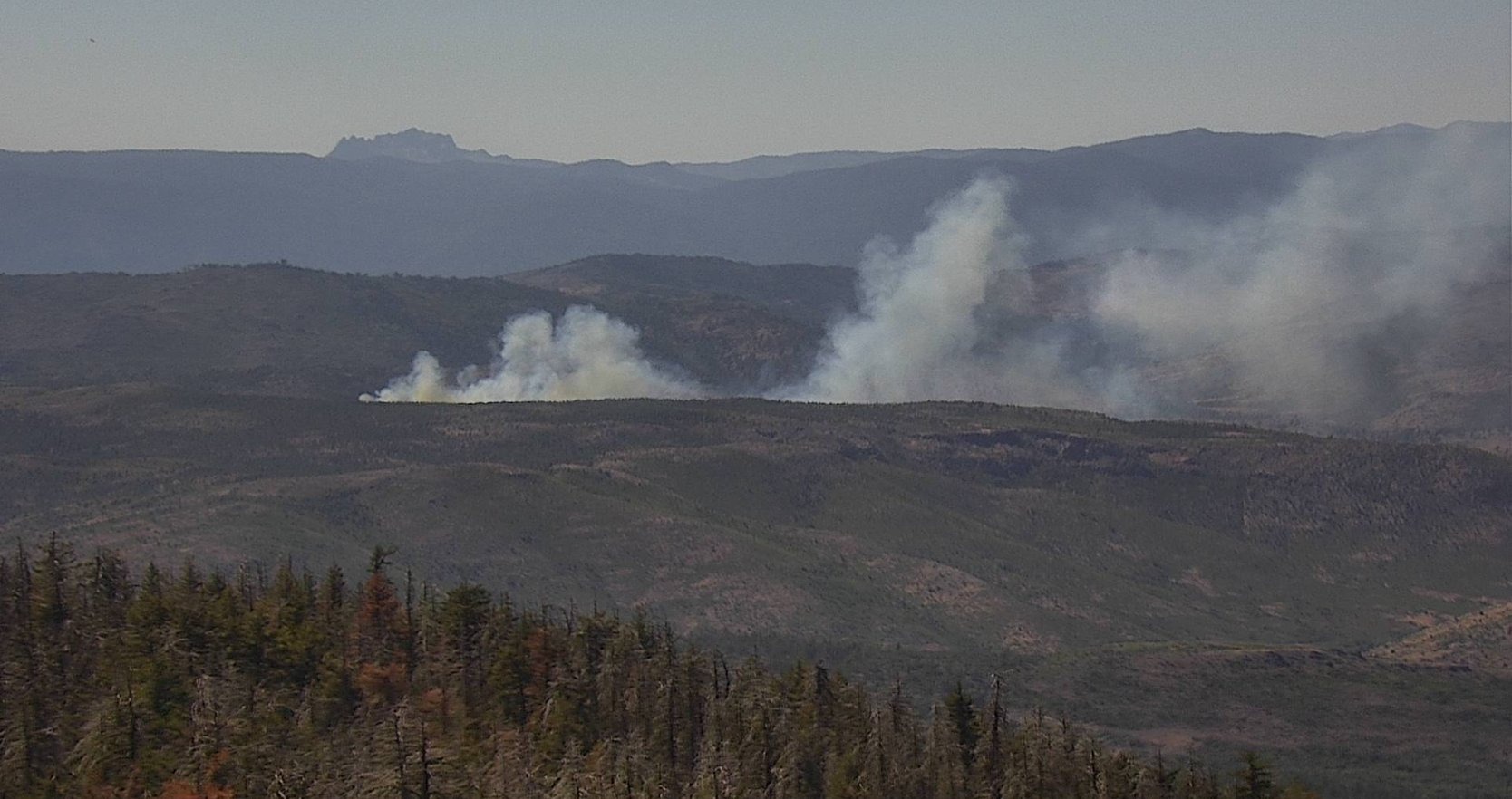 Bear Fire near Tahoe burns over 1,300 acres, evacuations ordered