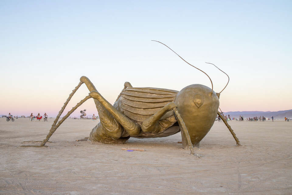 Here are the best photos from Burning Man 2024