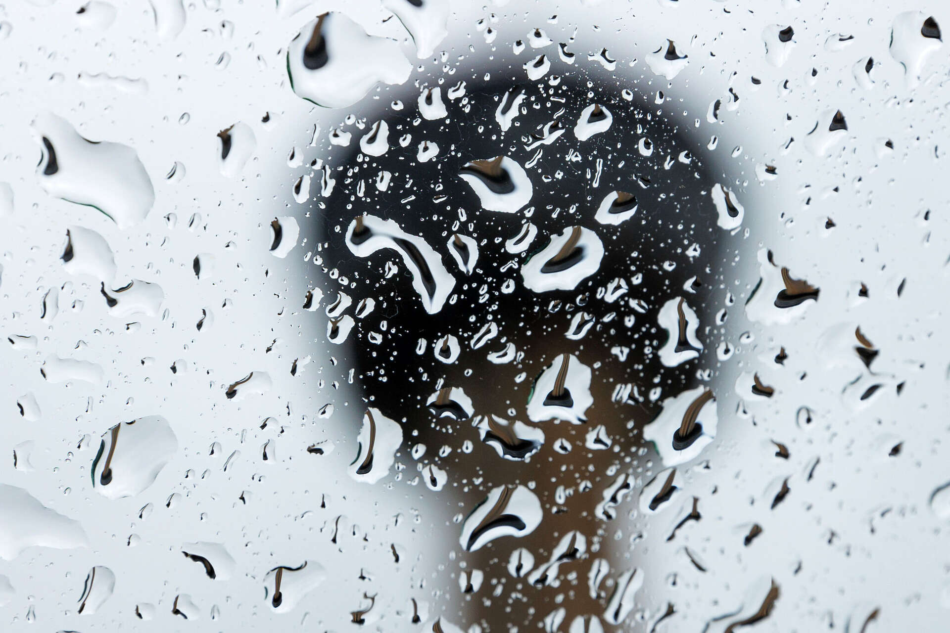 San Antonio already has more rain this year than in all of 2023