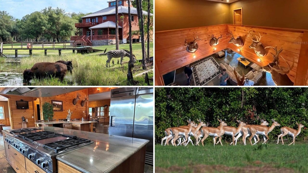 Wild $7.9 Million Florida Ranch Comes Complete With Array of Exotic ...