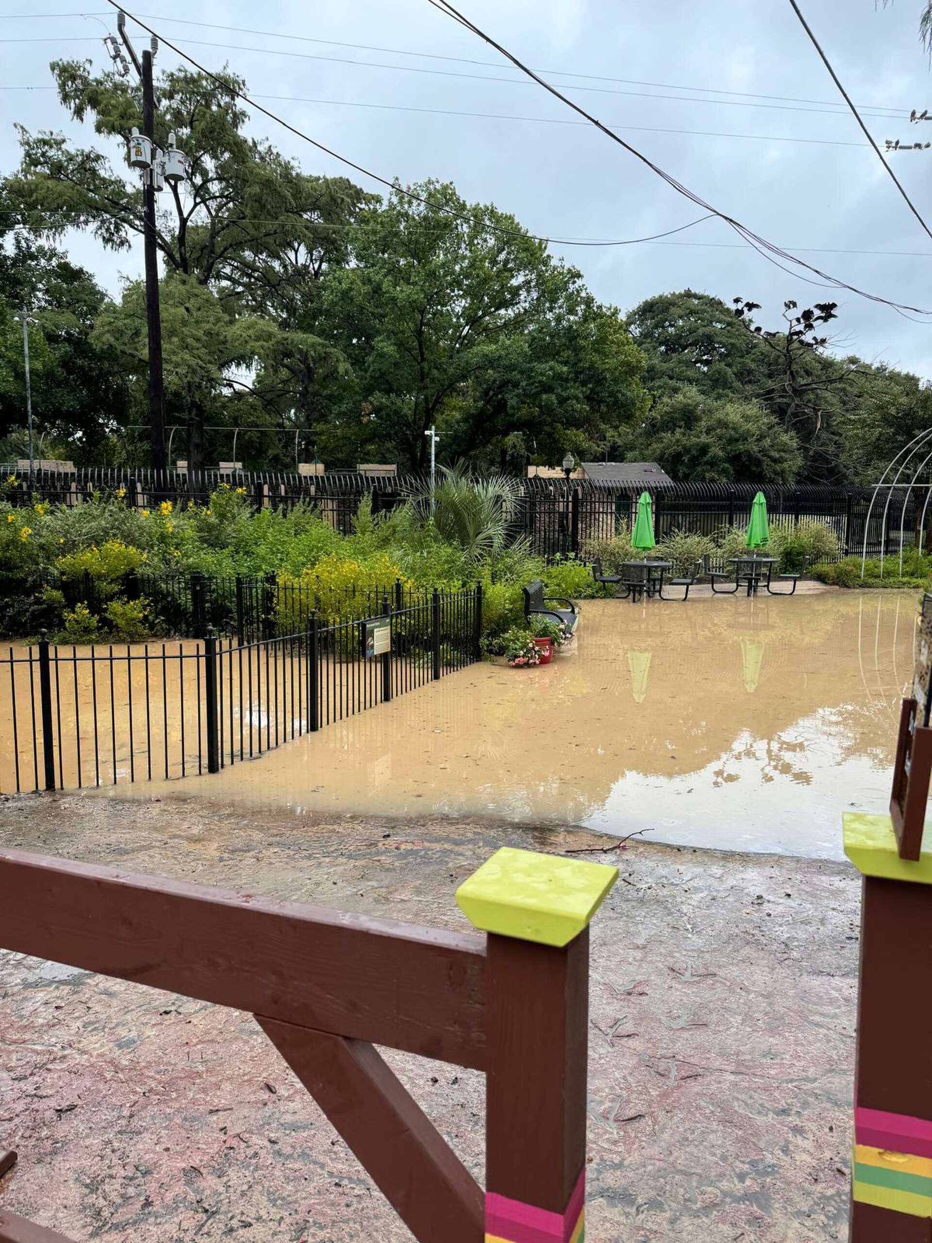 Texas zoo asks for support after enclosures flood, forced to close