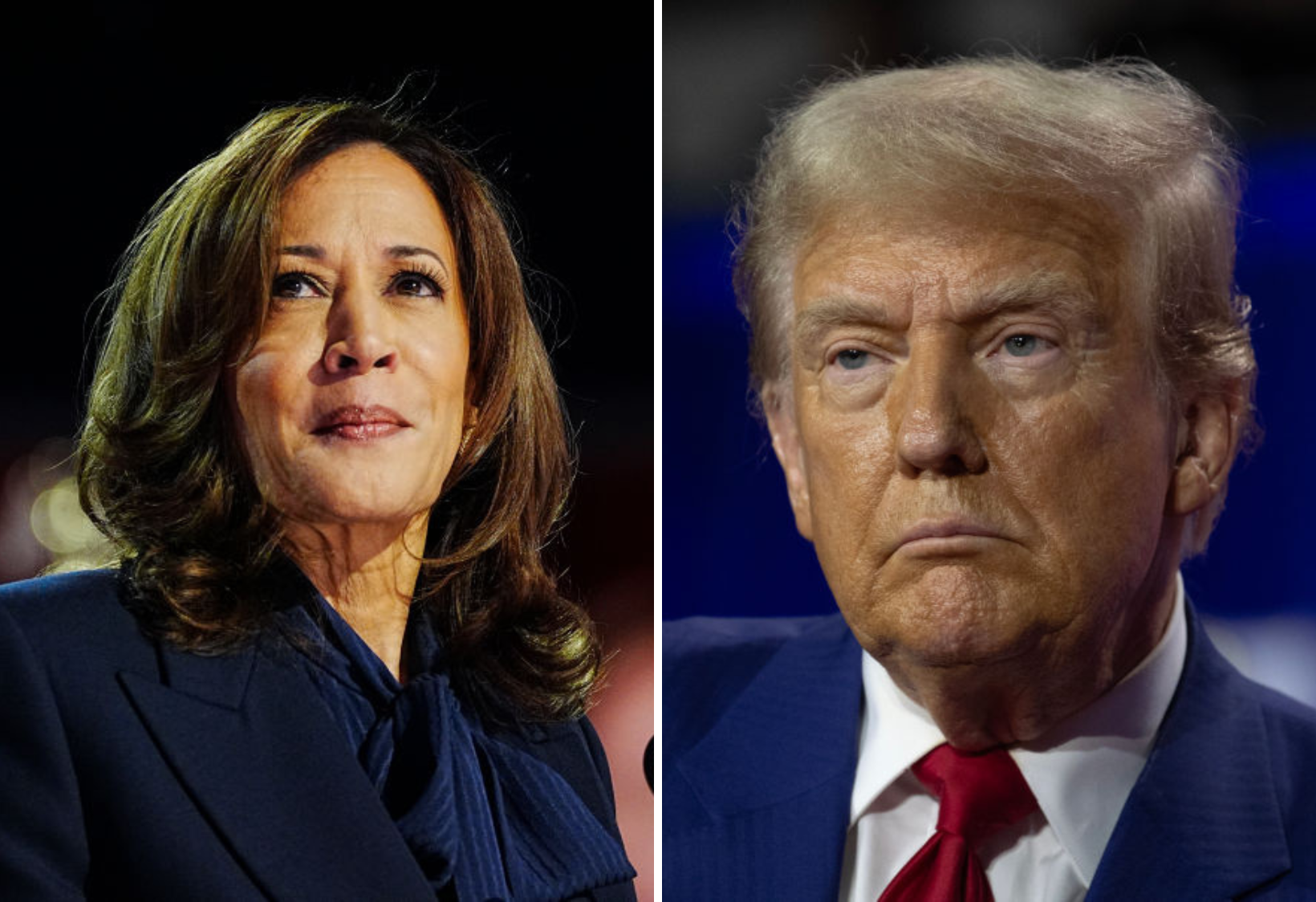 Betting odds on the 2024 presidential election
