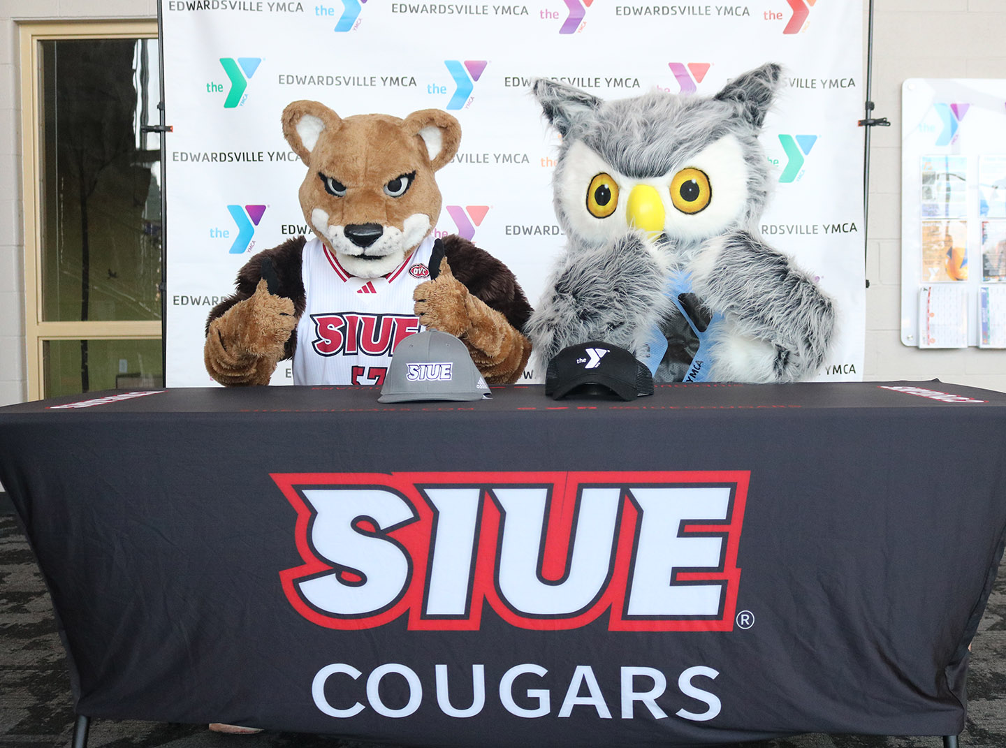 Edwardsville YMCA, SIUE announce Junior Cougar Leagues