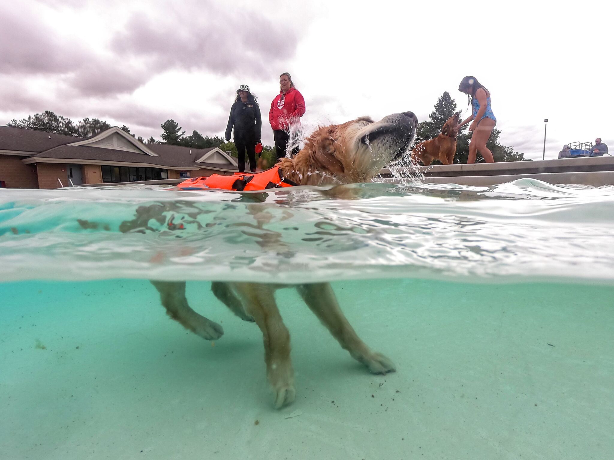 Pooches at the Pool on Sept. 6