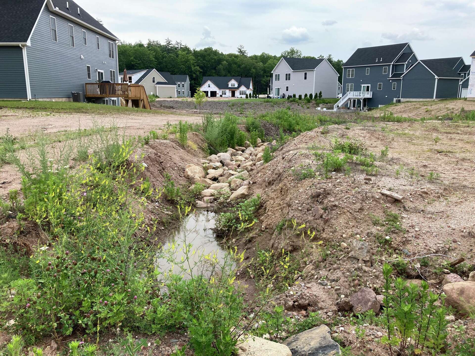 CT developer William Ferrigno arrested for 10th time, records show