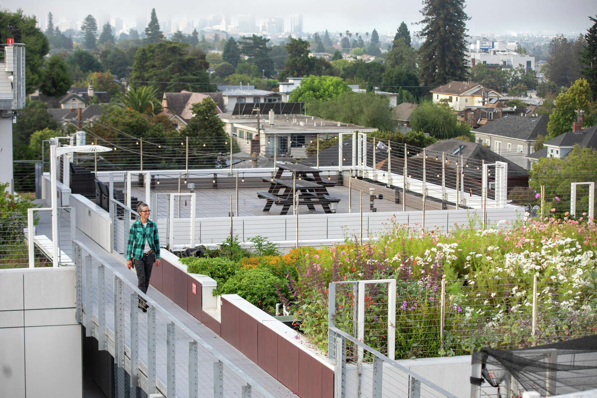A Bay Area flower farm hides in the sky