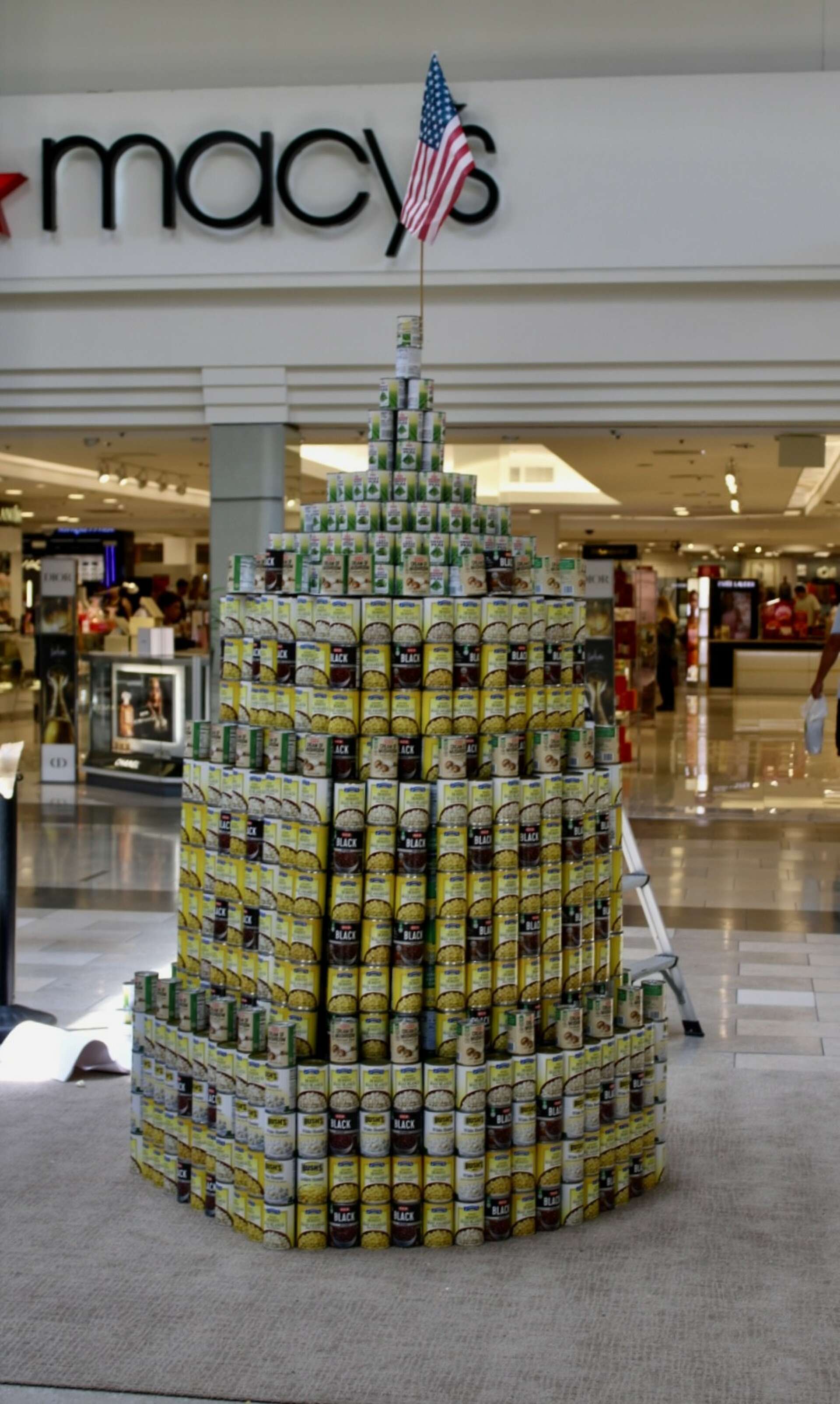 Canstruction 2024 winners include Texas flag, Garfield designs