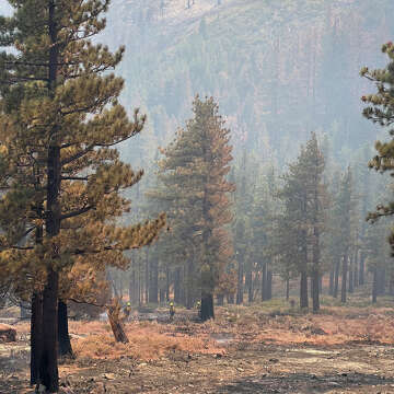 'Extremely dangerous' fire conditions threaten hundreds of Reno homes