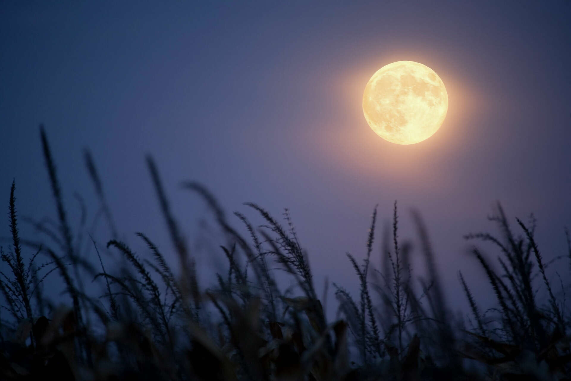 September Harvest full moon a supermoon and lunar eclipse to add